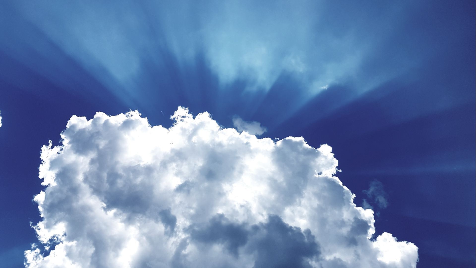 Faith – LEServices